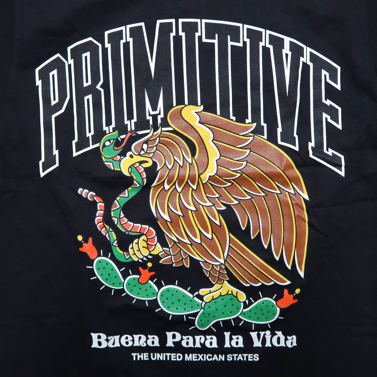 Primitive Collegiate Mexico T-Shirt – Envisionsinc